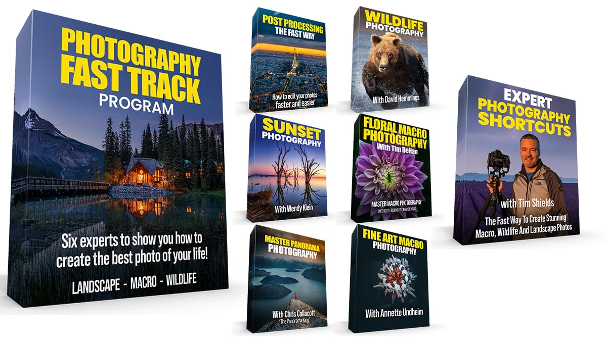Photography Fast Track Program